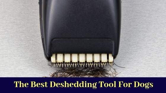 What Is The Best Deshedding Tool For Dogs? [2019 Review & Guide]