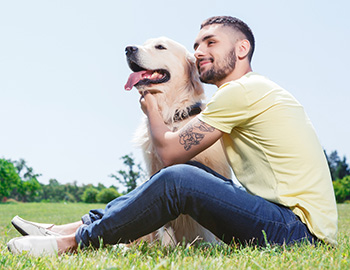 How A Golden Retriever Therapy Dog Impacts Your Well-Being