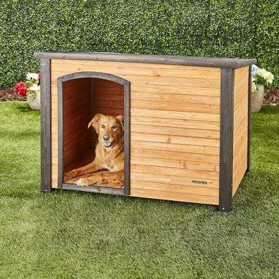 The Best Outdoor Dog Houses - Totally Goldens